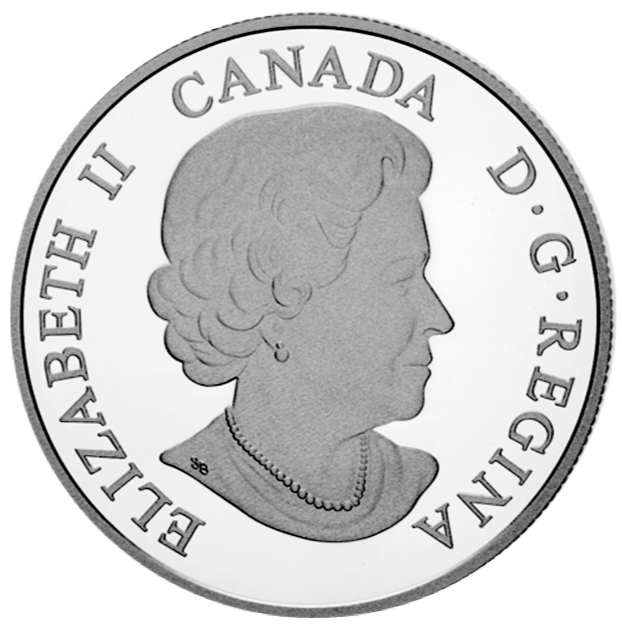 2017 20 Dollars Fine Silver Coin-Majestic Animal Series-The Bold Black ...