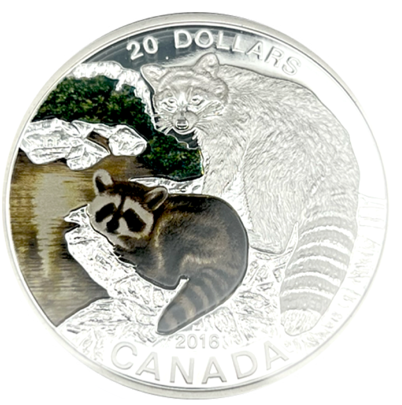 2016 Canada 20 Dollars Fine Silver Coin, Baby Animals-Raccoon – Trade ...